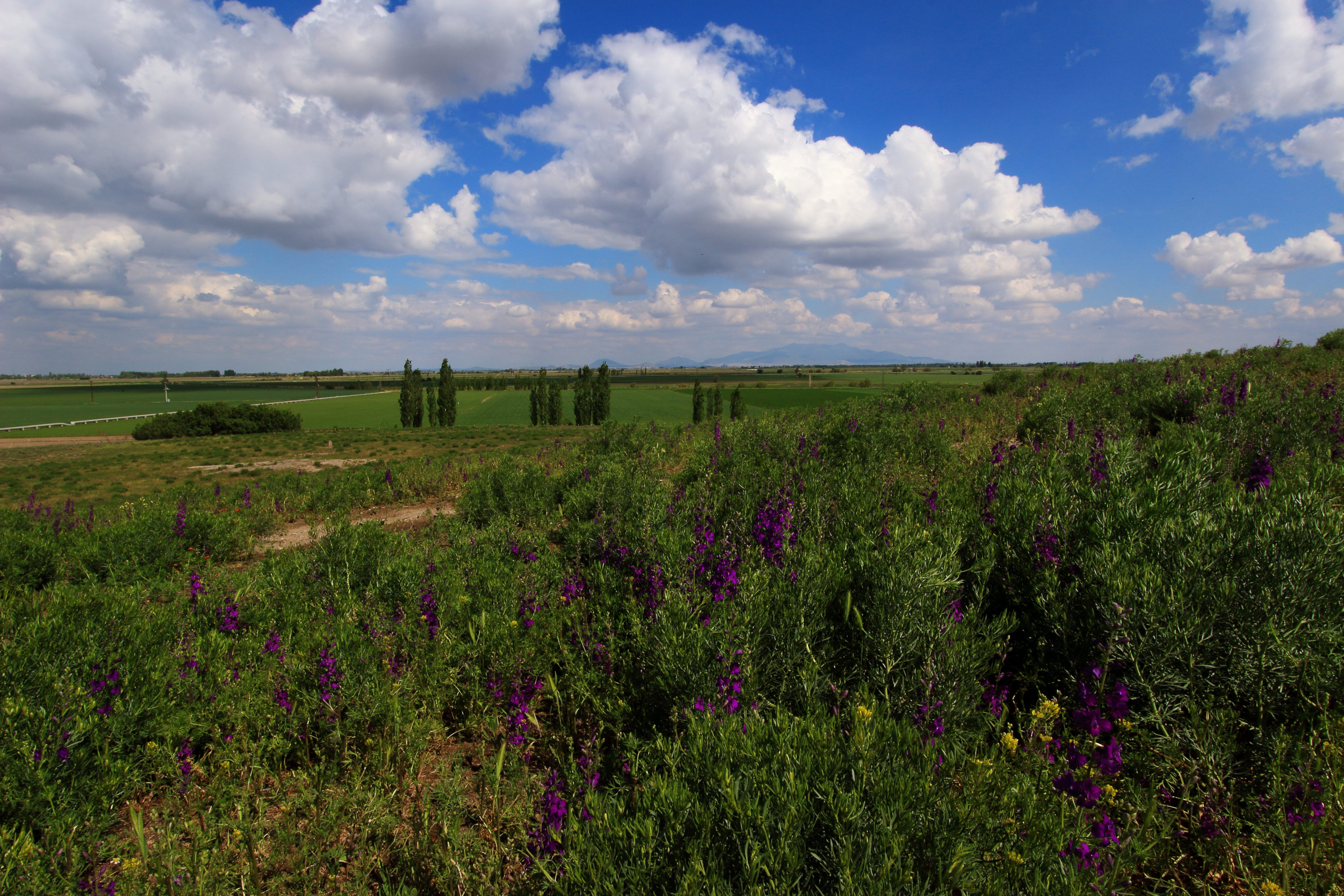 Çatalhöyük Archeological Site | The Art of Wayfaring
