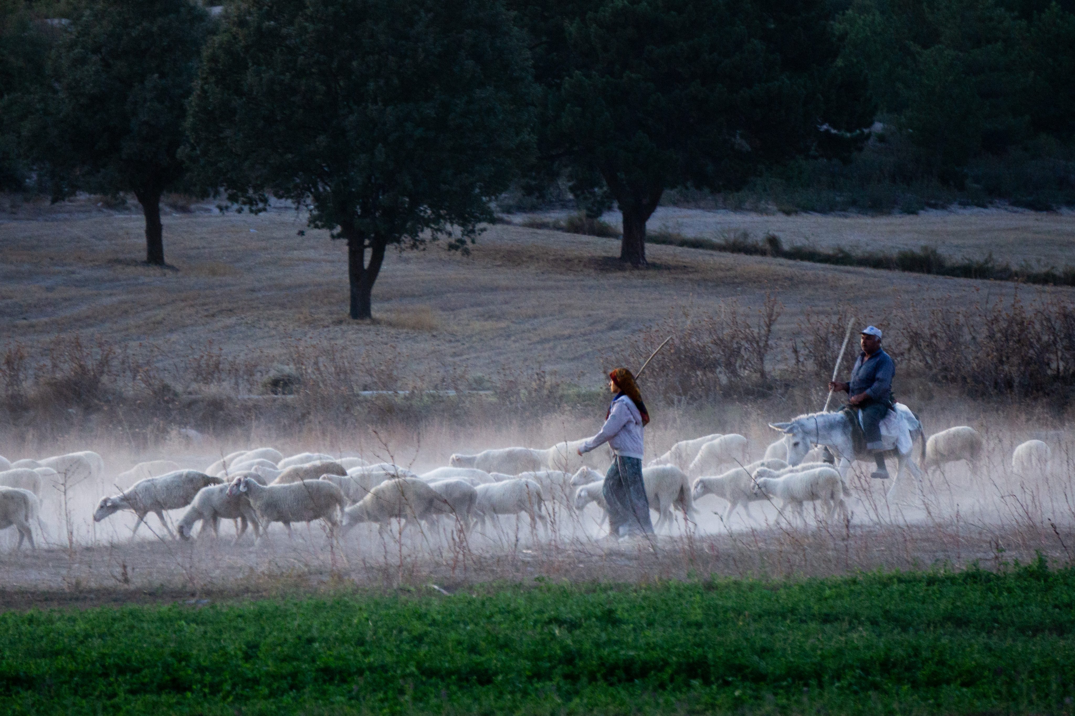 2019 in Photos and The Year to Come | The Art of Wayfaring