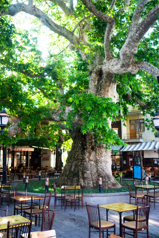 Pisidian Antioch (Antiochia in Pisidia) | The Art of Wayfaring