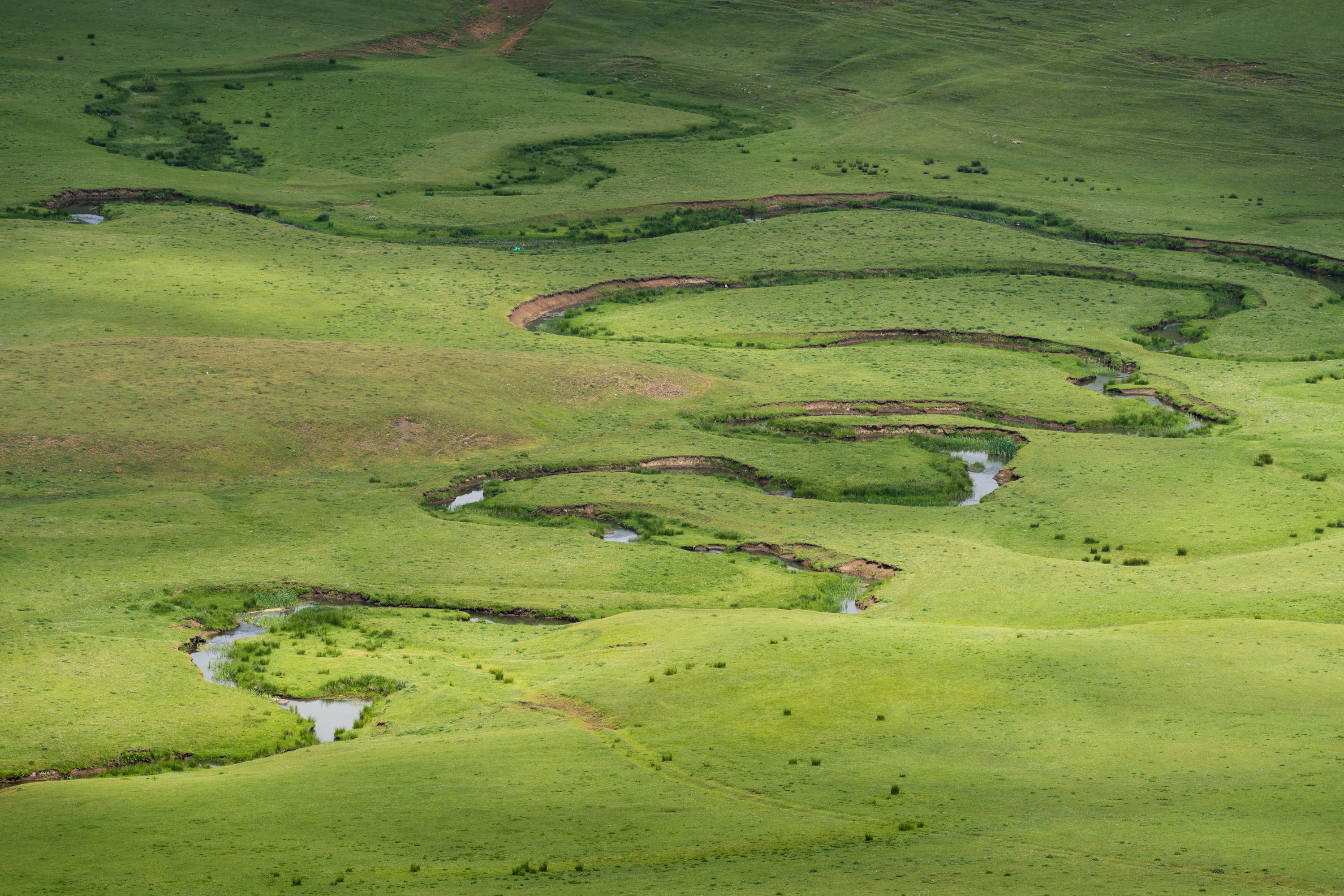 Perşembe Yaylası Summer Pasturelands | The Art of Wayfaring